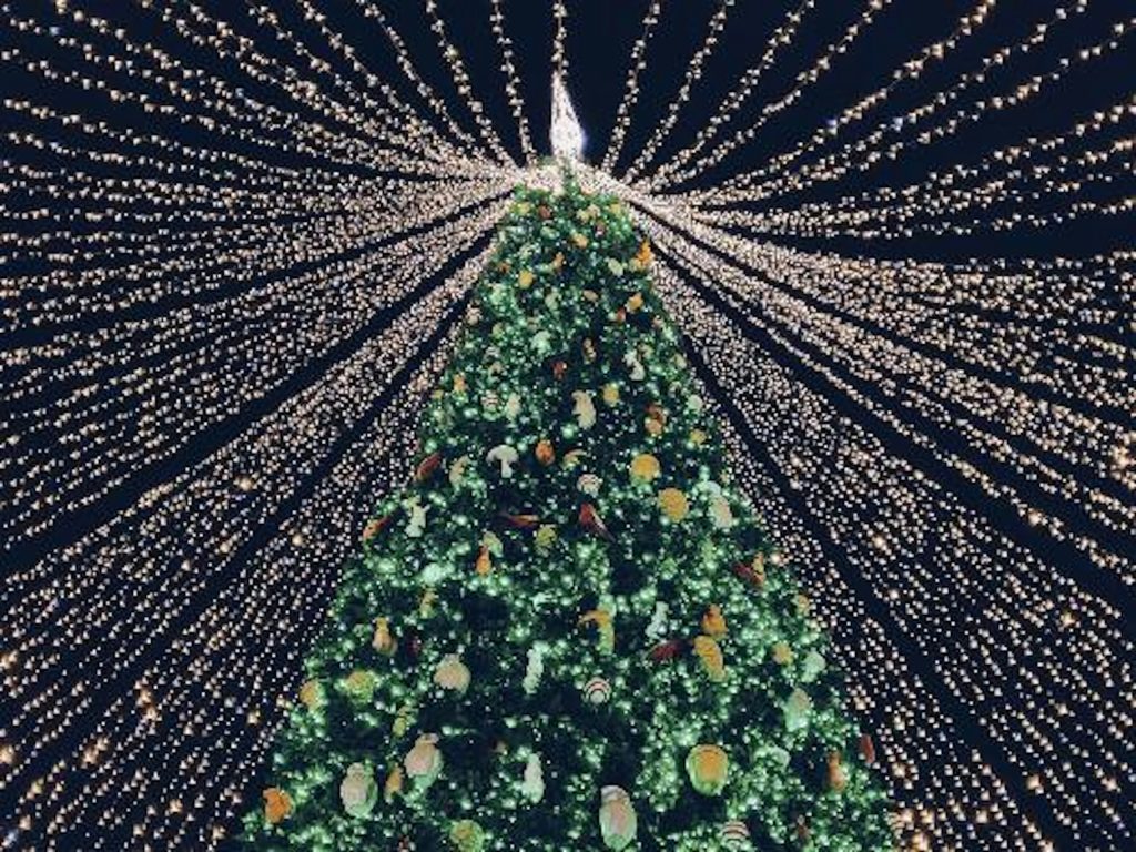 Homepage - Visit Pooler, GA